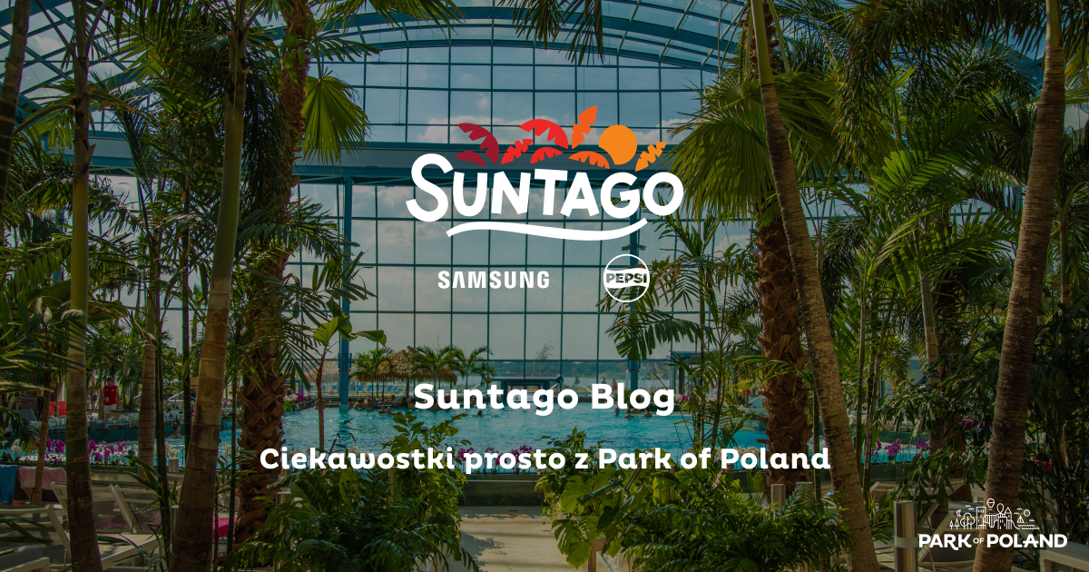 Blog | Suntago - Aquapark | Wodny Park Rozrywki